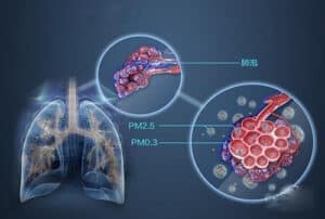 Particulate matter monitoring - Fosensor